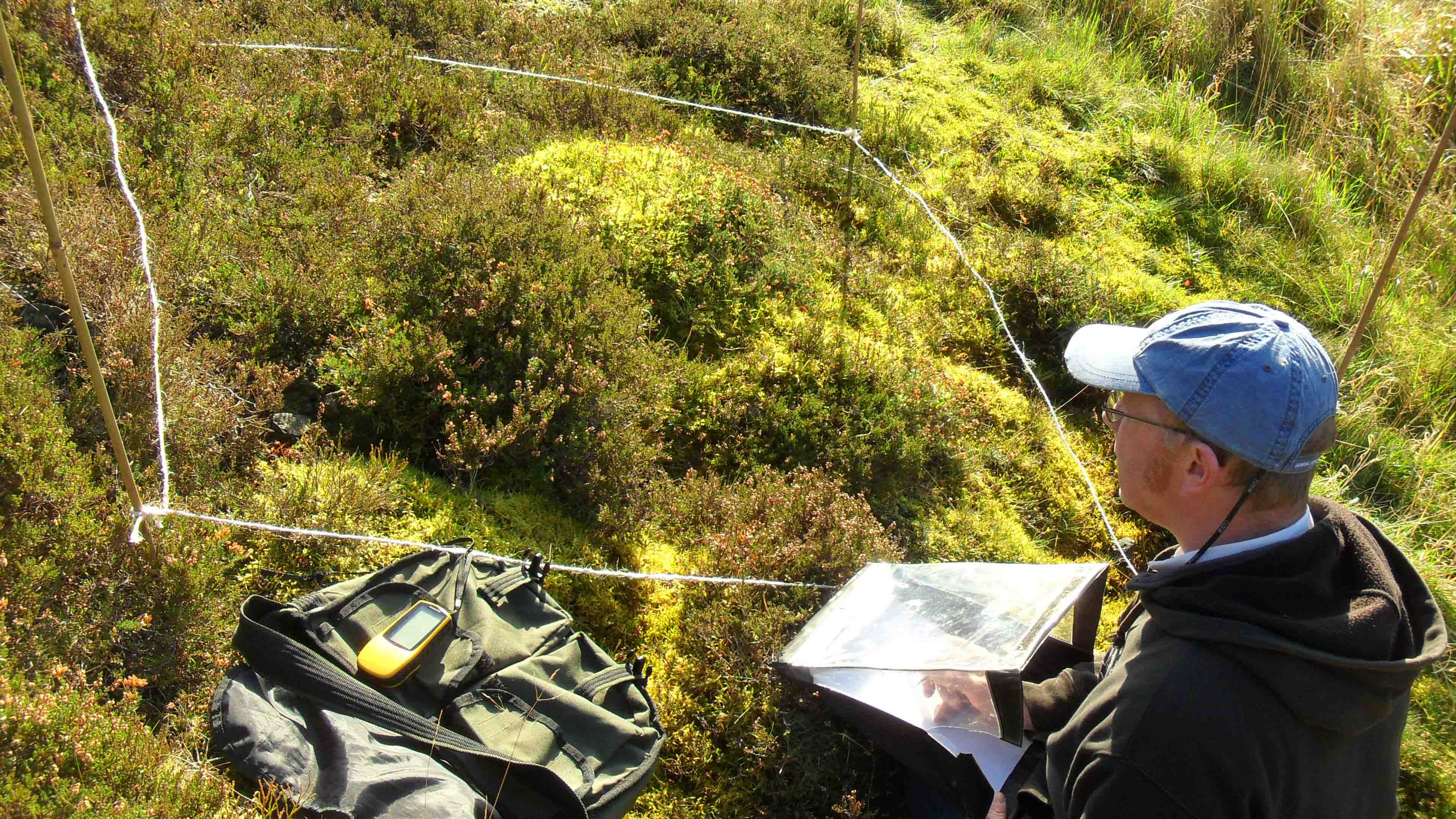 Vegetation Surveys for Council Planning Permission | Abben Art