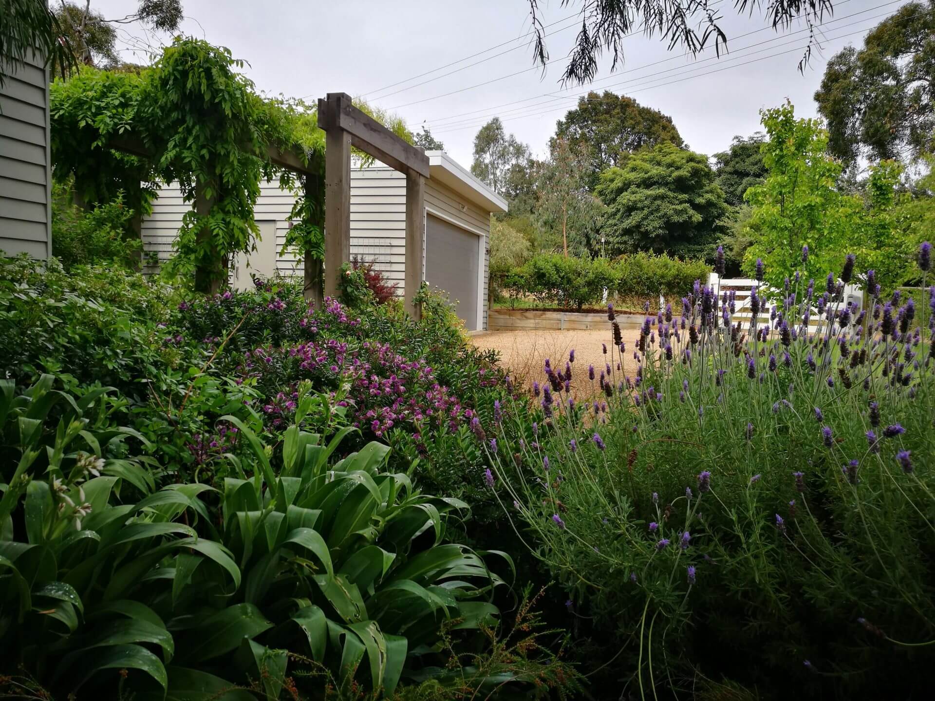 Plant Selection - Abben Art | Garden Design & Landscaping | Mornington ...