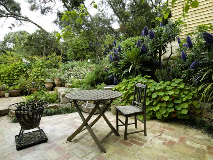 Ideas for gardens in coastal areas